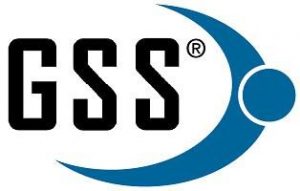 GSS - Wir sorgen für Sicherheit! - GSS Global Security GmbH