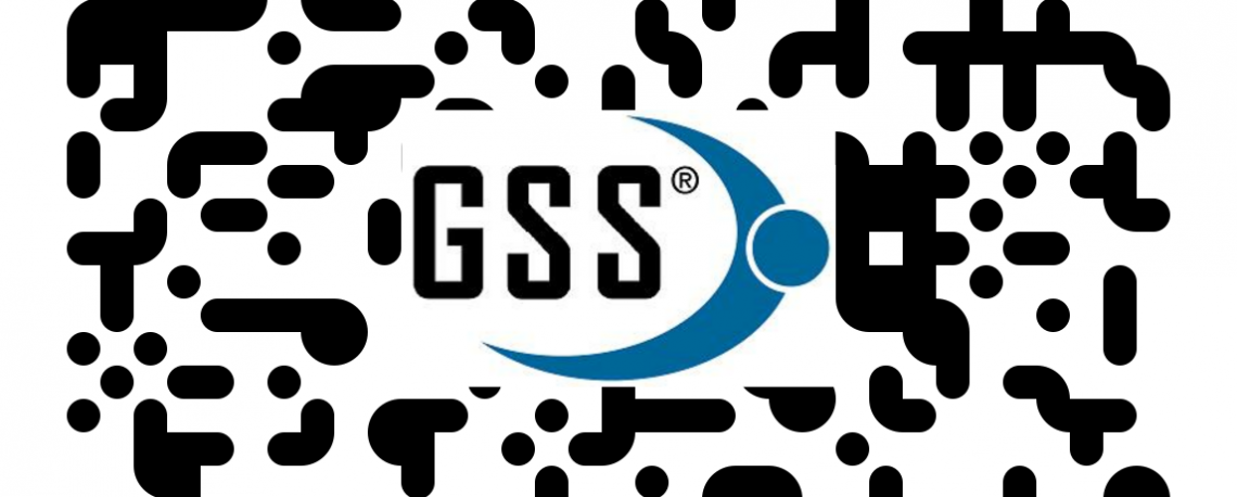 Sie haben uns Gescannt - GSS Global Security GmbH