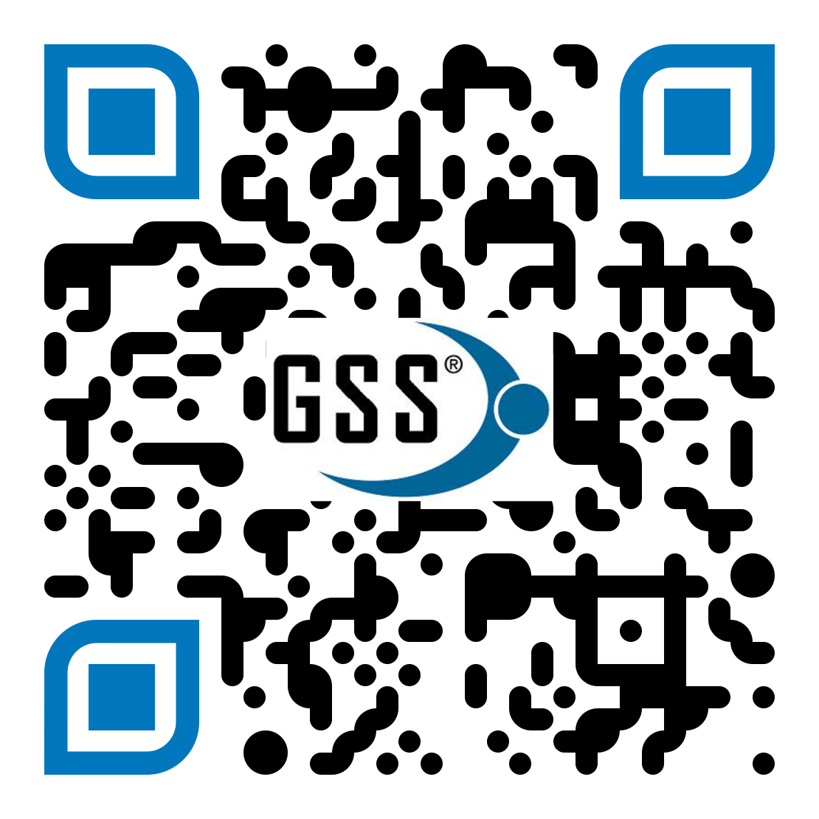 Sie haben uns Gescannt - GSS Global Security GmbH